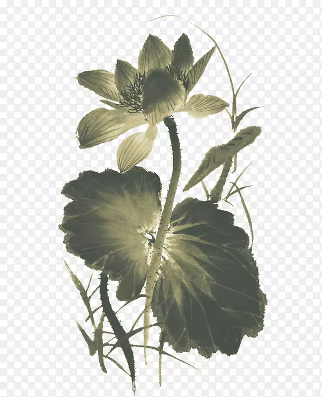 绿色中国风莲花荷叶装饰图案PNG图片素材下载_图片编号gqbxxakq-免抠素材网