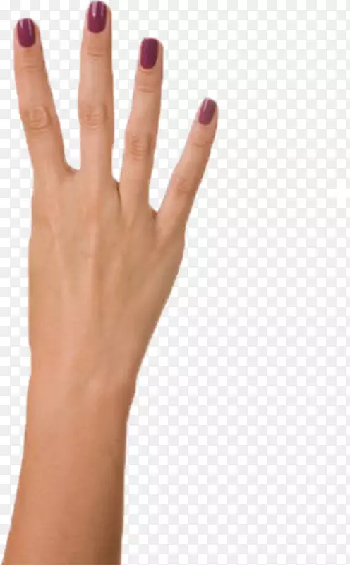 女人手示意图4PNG图片素材下载_图片编号qrmxggwy-免抠素材网