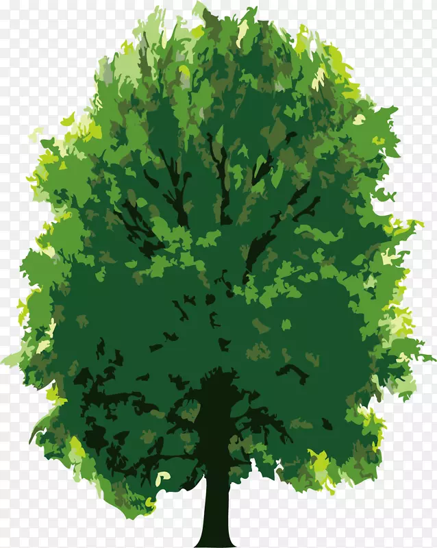 矢量树木手绘老树PNG图片素材下载_图片编号qezwanny-免抠素材网