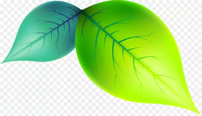 卡通叶子素材PNG图片素材下载_图片编号qzklvwjy-免抠素材网
