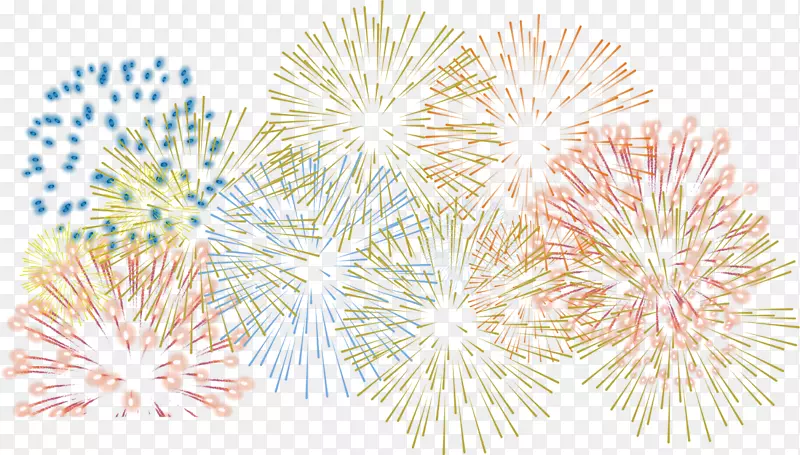 春节美丽多彩烟花PNG图片素材下载_图片编号qbgmleny-免抠素材网