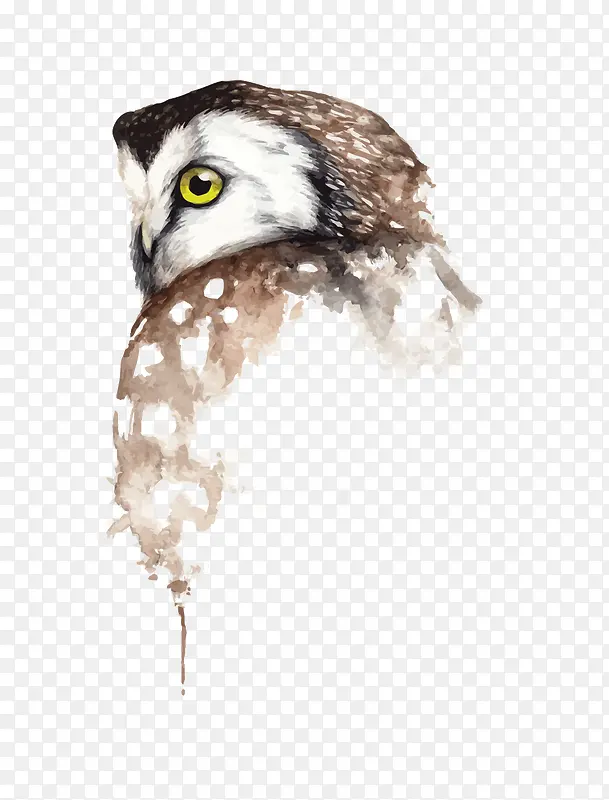 矢量猫头鹰PNG图片素材下载_图片编号qgmwamrq-免抠素材网