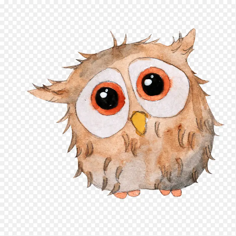 猫头鹰PNG图片素材下载_图片编号qrnrrgmq-免抠素材网