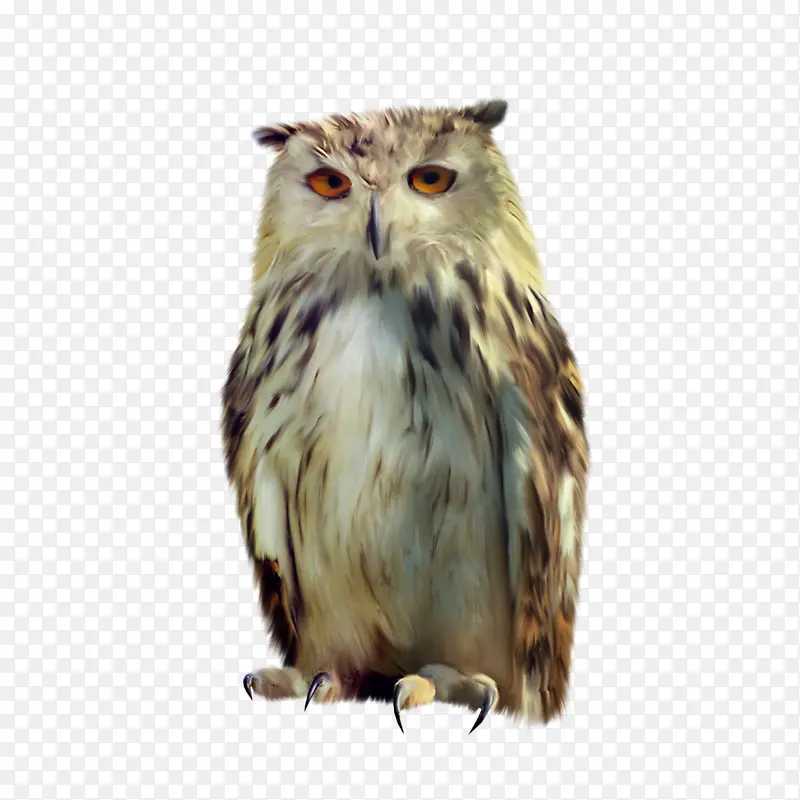 动物猫头鹰PNG图片素材下载_图片编号yjzkzway-免抠素材网