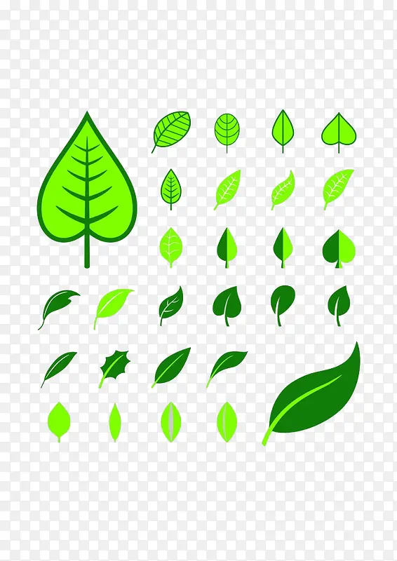 各种卡通叶子PNG图片素材下载_图片编号yapmddbq-免抠素材网