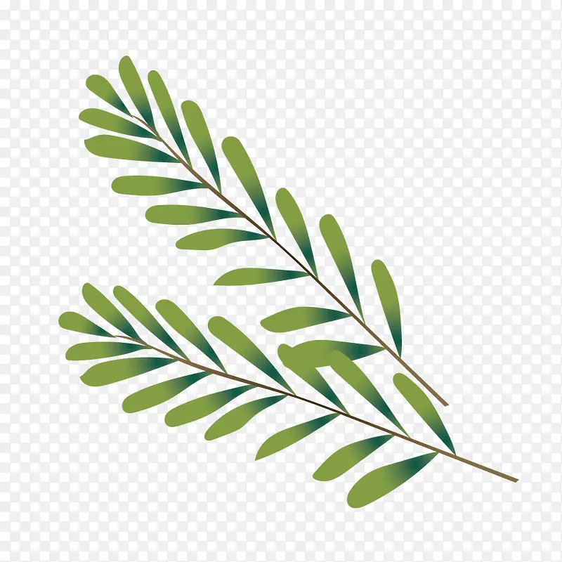 卡通矢量叶子素材PNG图片素材下载_图片编号yaaznnxy-免抠素材网
