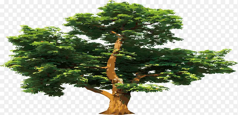 手绘大树 矢量老树PNG图片素材下载_图片编号ygllrpjk-免抠素材网