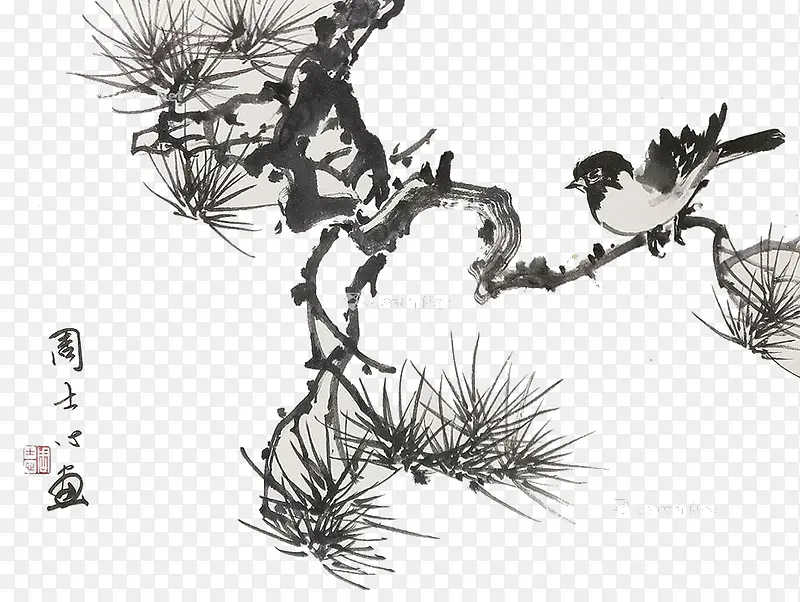 站在松树上的鸟儿PNG图片素材下载_图片编号yvmwolvd-免抠素材网