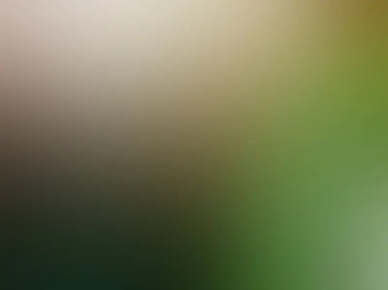 绿色渐变模糊虚化素材PNG图片素材下载_图片编号yxjdonez-免抠素材网