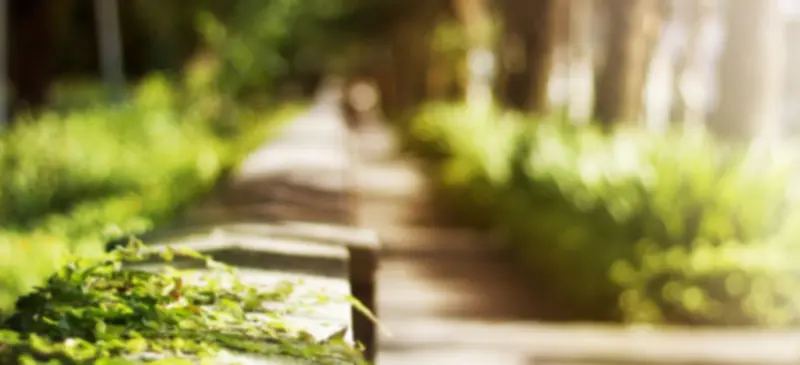 虚化背景PNG图片素材下载_图片编号yglgezkk-免抠素材网