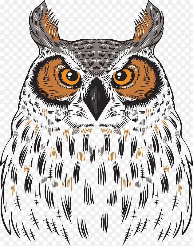 卡通猫头鹰PNG下载PNG图片素材下载_图片编号yarzdbjj-免抠素材网