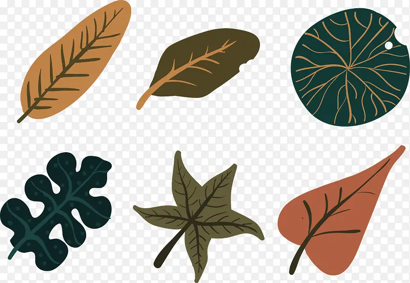 卡通叶子合集矢量PNG图片素材下载_图片编号qbawwmgn-免抠素材网