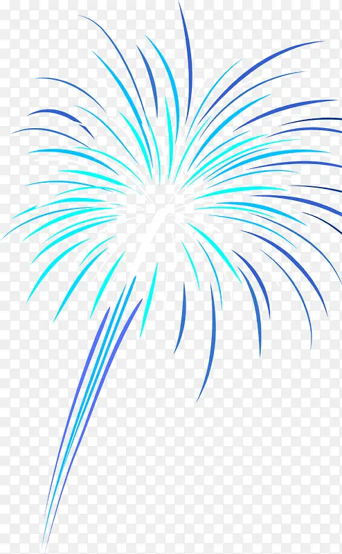春节美丽多彩烟花PNG图片素材下载_图片编号qbapndzd-免抠素材网