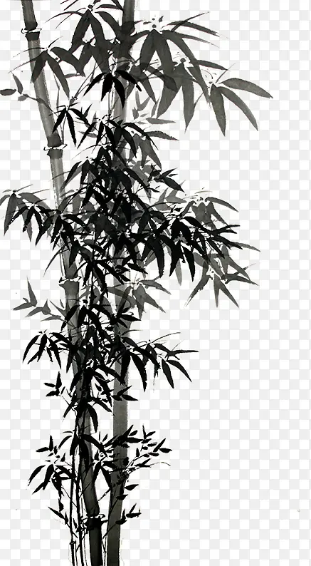 水墨竹子PNG图片素材下载_图片编号qnvjagnp-免抠素材网