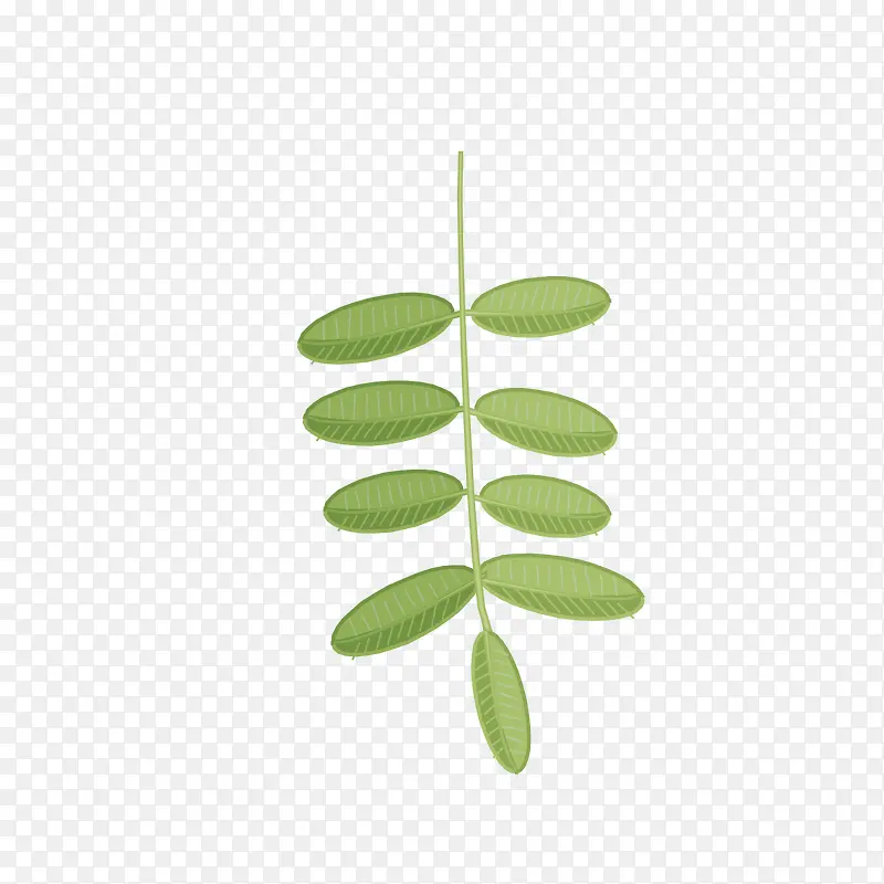 绿色卡通叶子PNG图片素材下载_图片编号qzoppdwx-免抠素材网