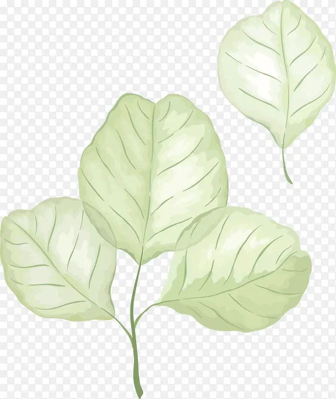 卡通水彩叶子装饰PNG图片素材下载_图片编号qrmppelk-免抠素材网