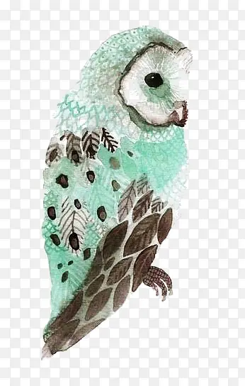 猫头鹰PNG图片素材下载_图片编号qzkvreaj-免抠素材网