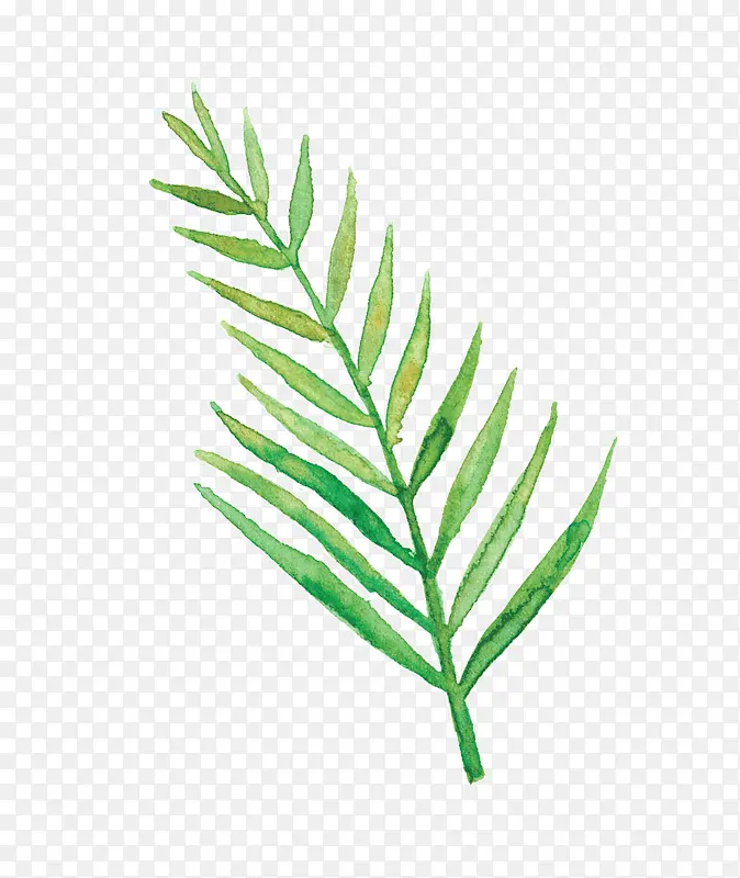 卡通手绘叶子PNG图片素材下载_图片编号yvvrkzae-免抠素材网