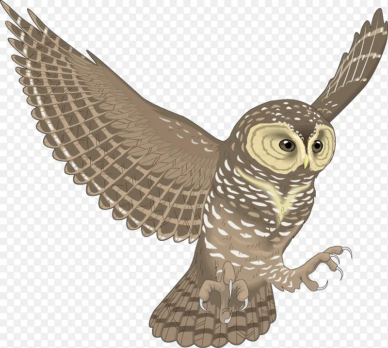 卡通矢量猫头鹰PNG图片素材下载_图片编号qonoxawg-免抠素材网