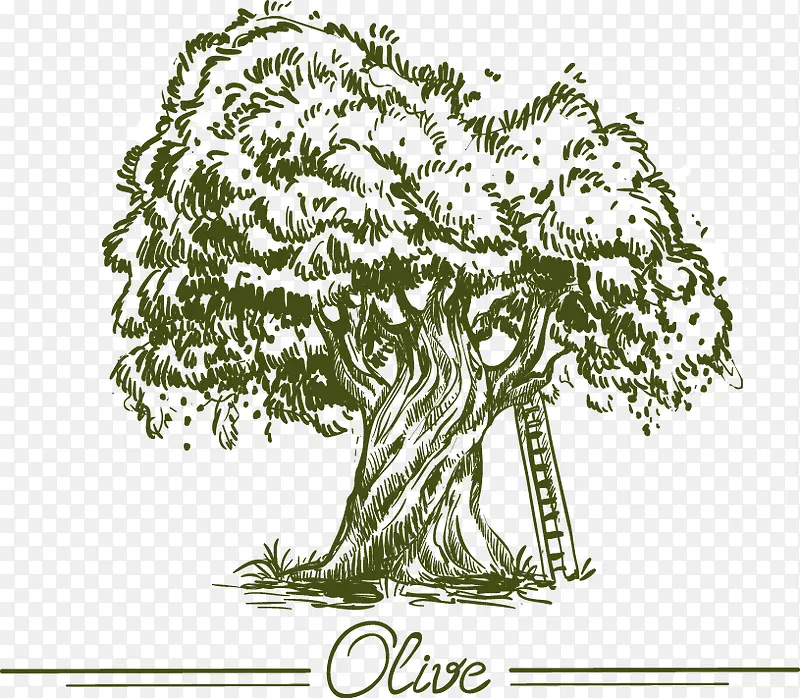 矢量老树PNG图片素材下载_图片编号ykewjnpg-免抠素材网