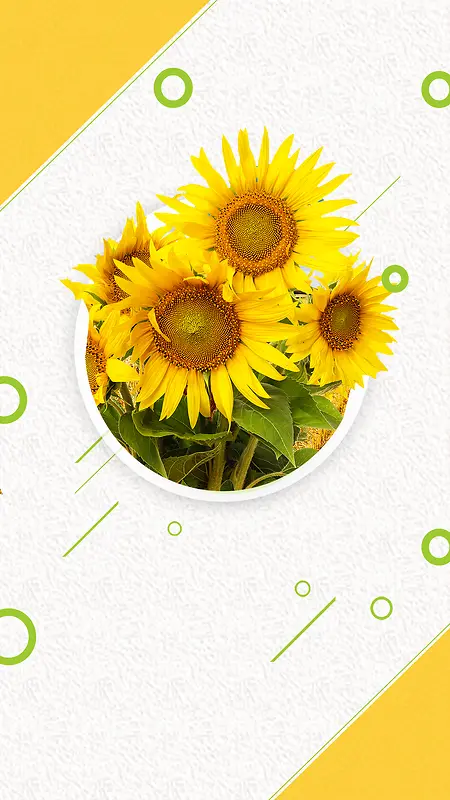 5月你好简约海报H5背景psd分层下载背景图片素材下载_图片编号qrgoxomo-免抠素材网